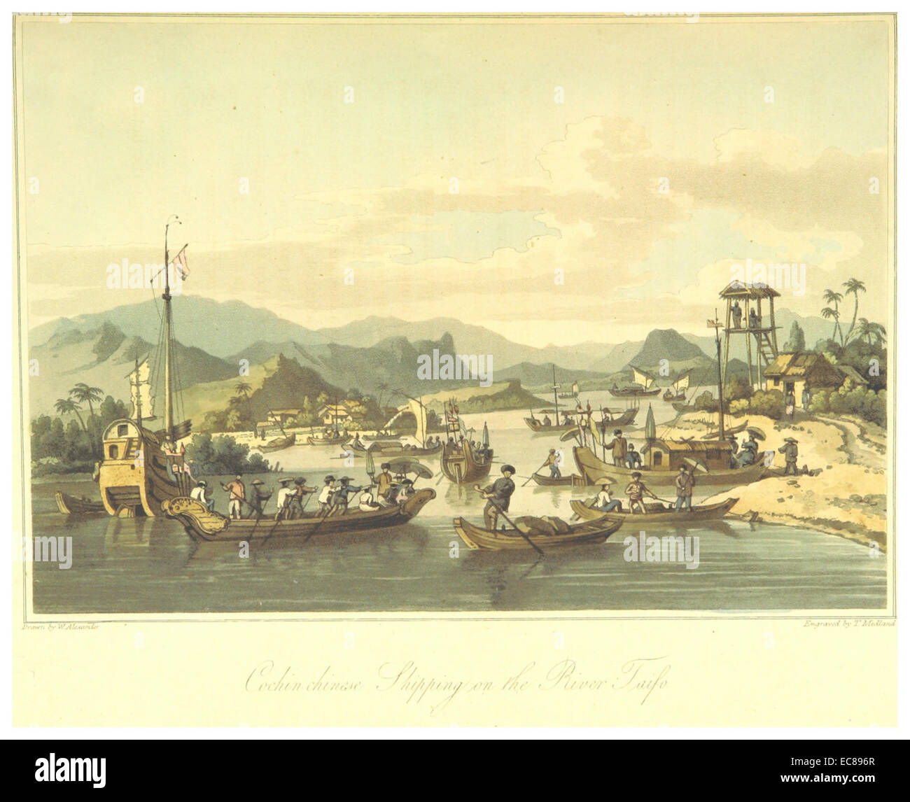 Conchin High Resolution Stock Photography and Images - Alamy