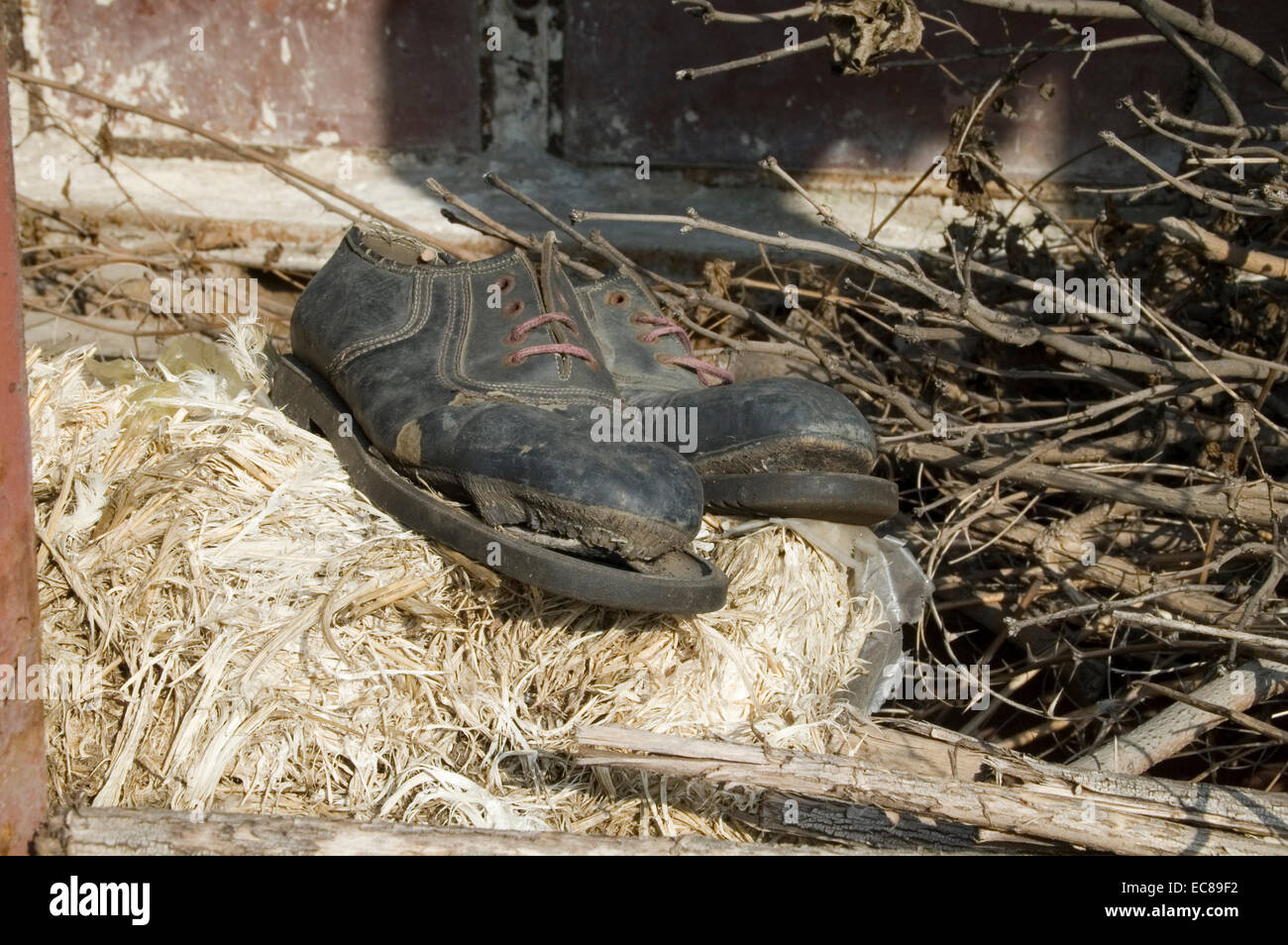 Old decomposing shoes that remind one of the famous actor Charlie ...
