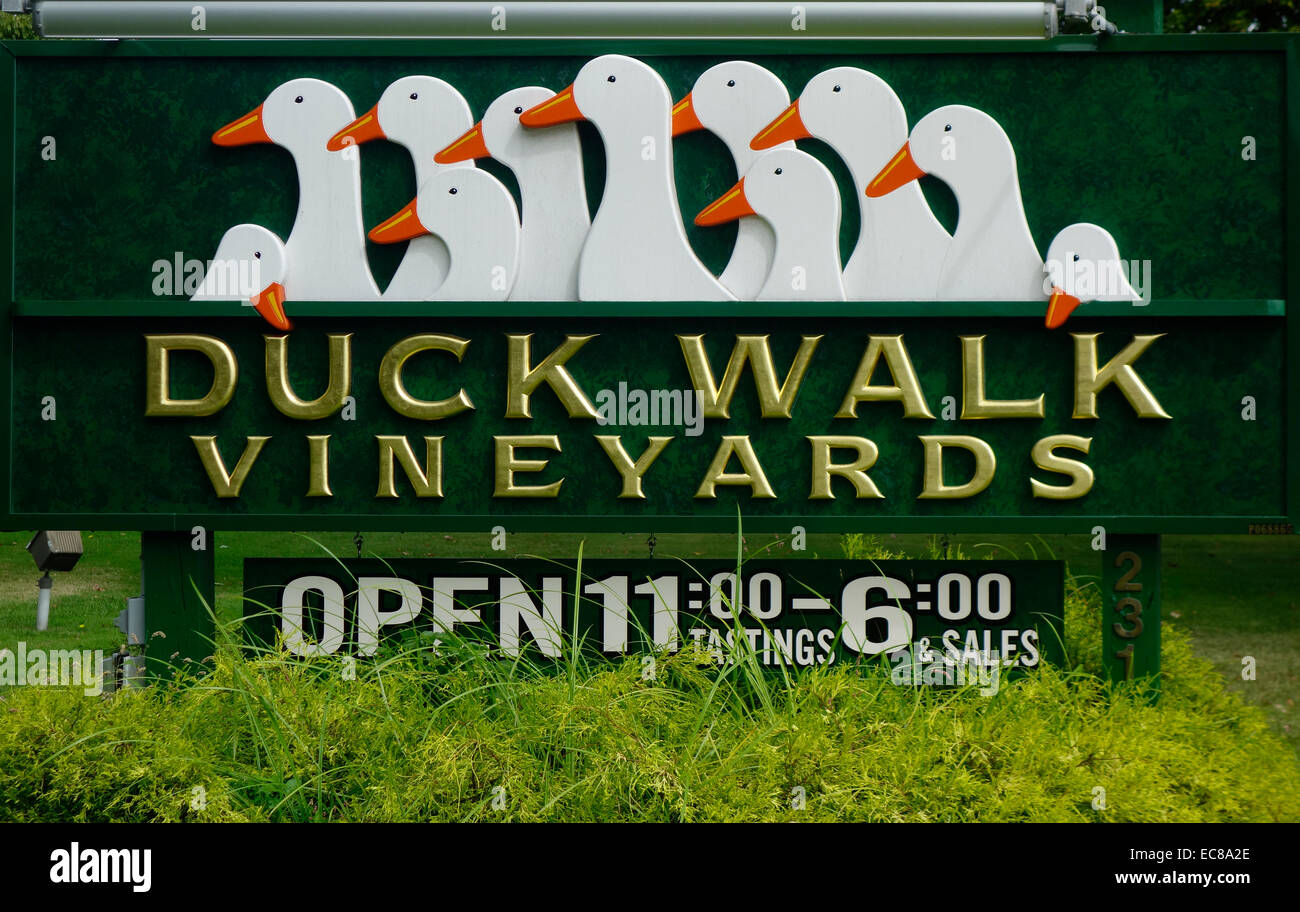 Duck walk vineyards in Southampton Long Island NY Stock Photo - Alamy