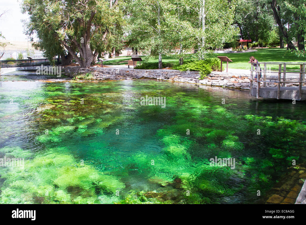 Giant Springs, Montana, USA Stock Photo - Alamy