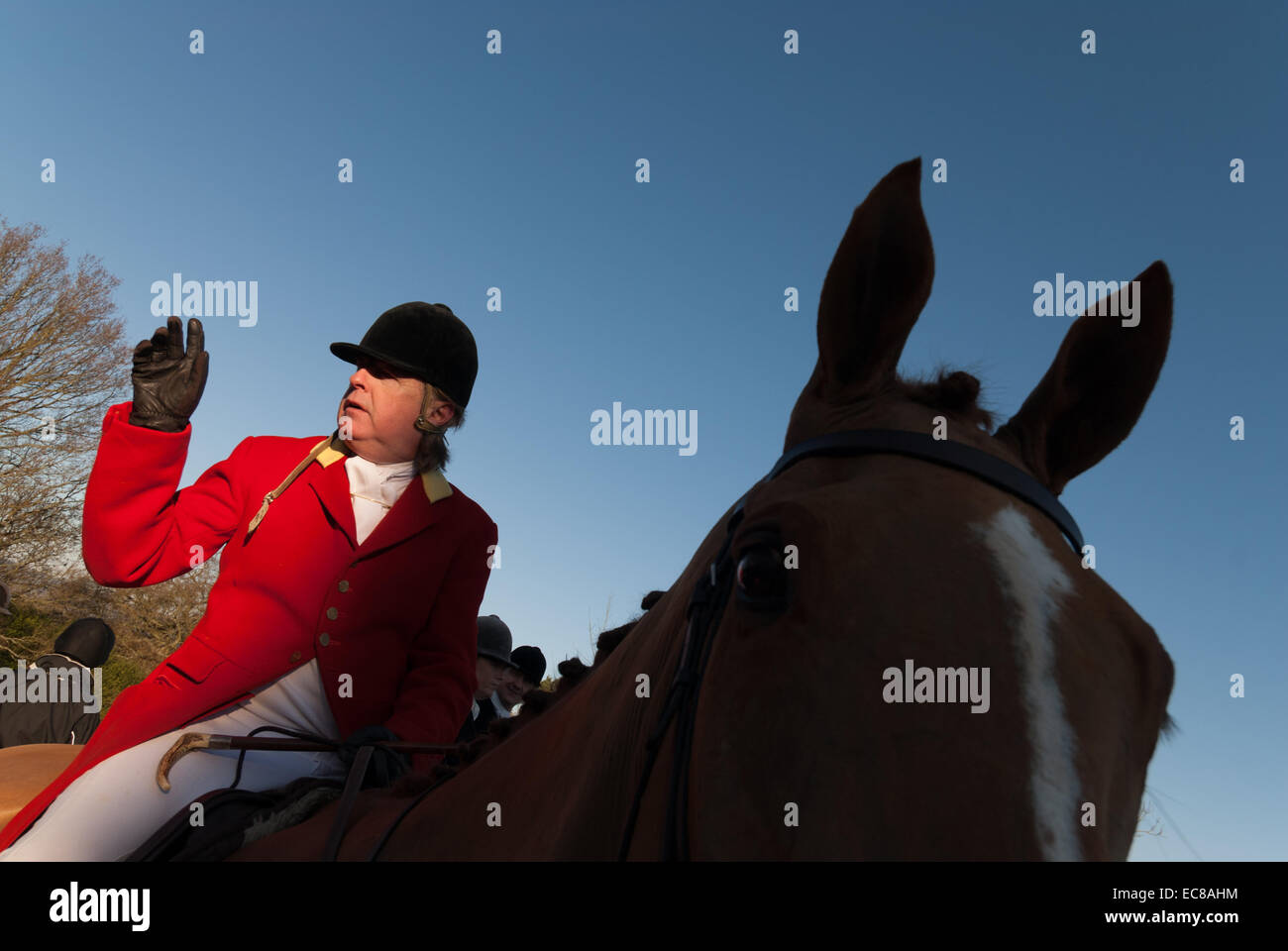 A fox hunt in the Surrey countryside Stock Photo - Alamy