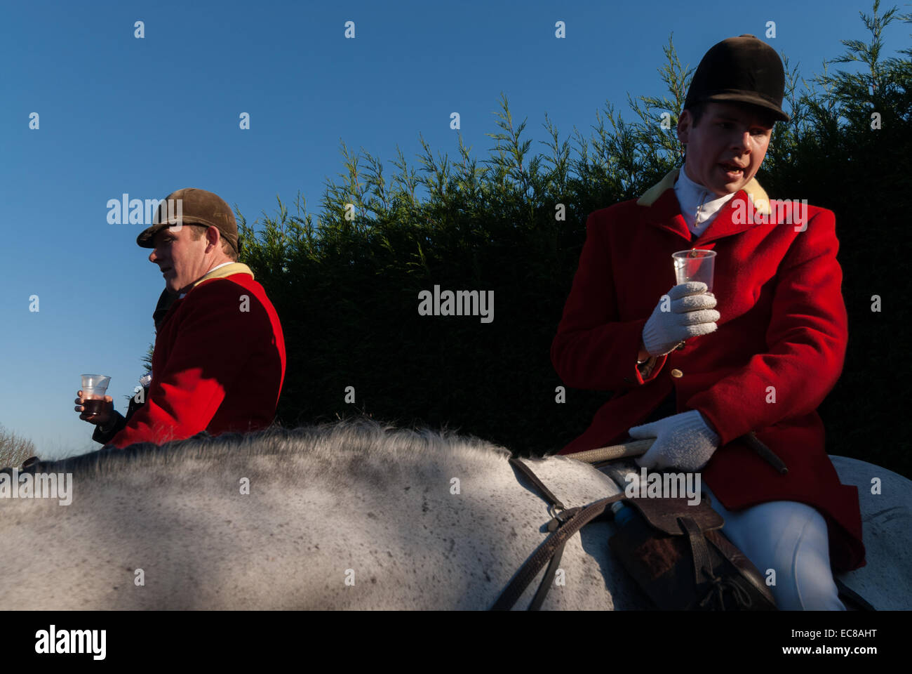 A fox hunt in the Surrey countryside Stock Photo - Alamy
