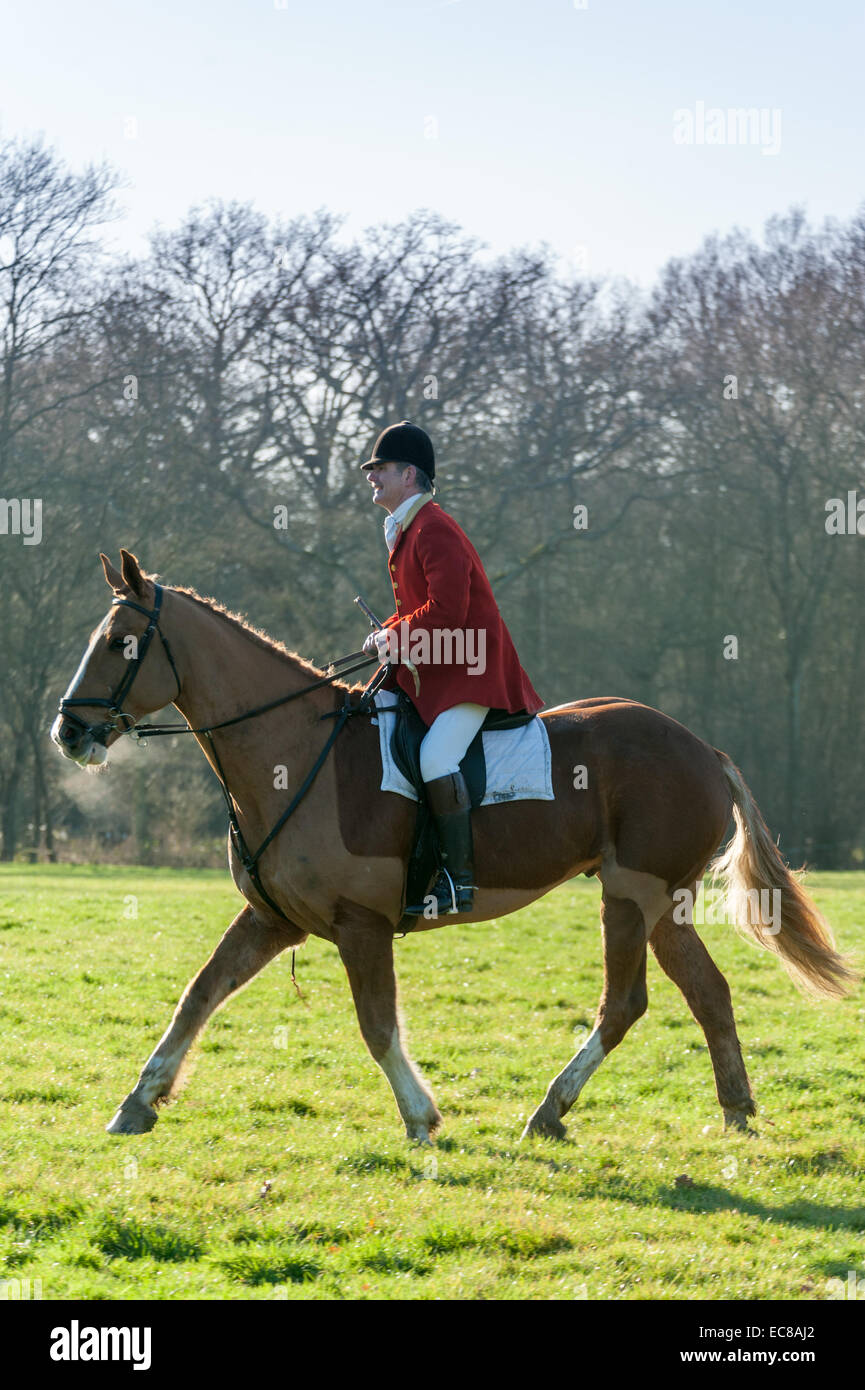 A fox hunt in the Surrey countryside Stock Photo - Alamy