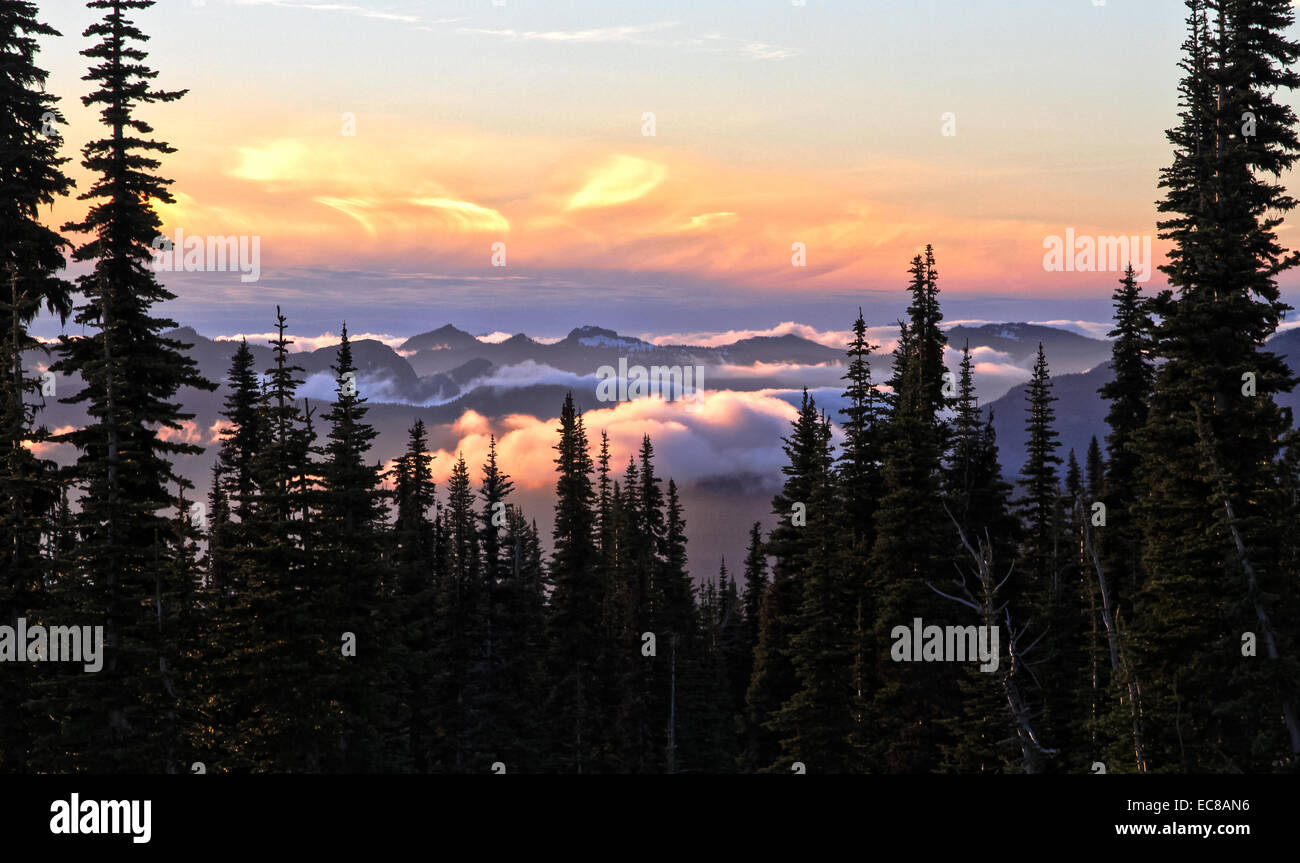Gifford pinchot washington hi-res stock photography and images - Alamy