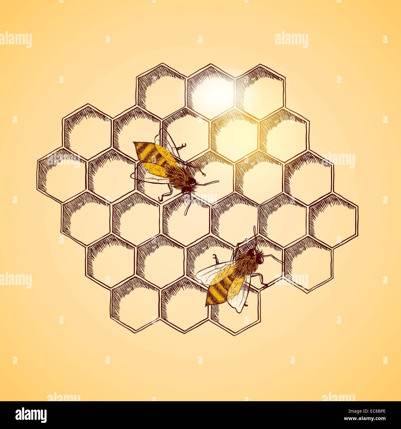 Honey bees and honeycomb background vector illustration Stock Vector ...