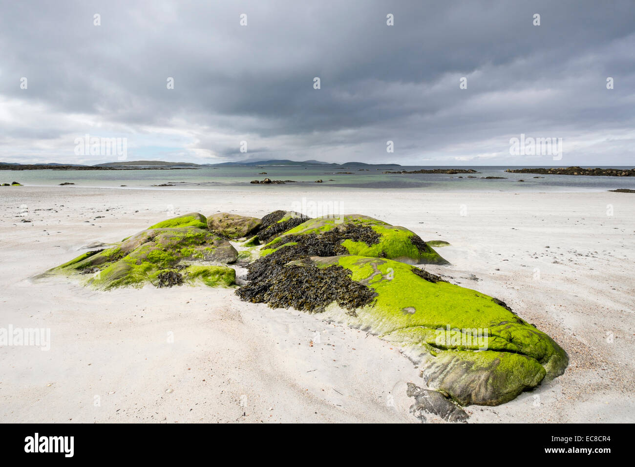 Chara sands hi-res stock photography and images - Alamy