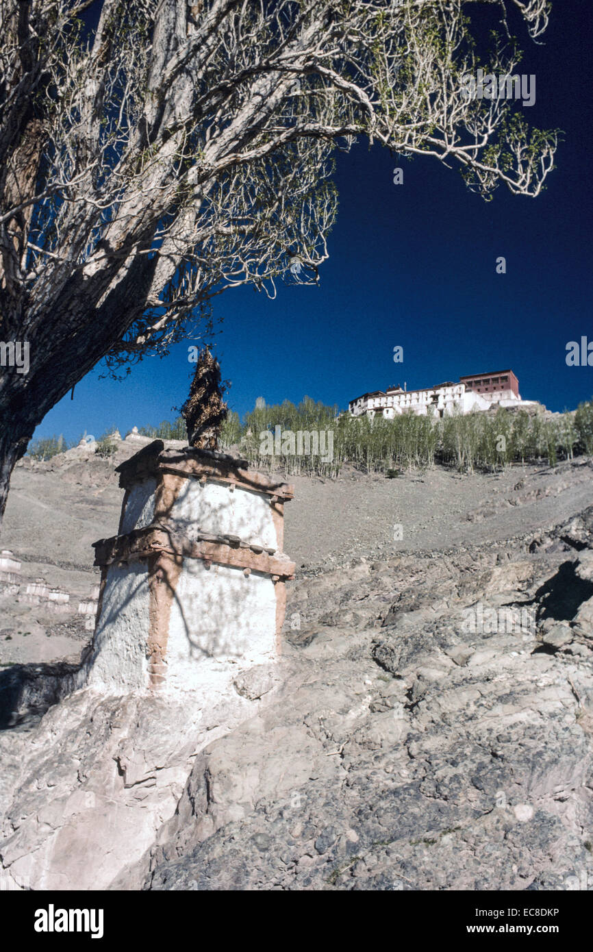 MATHO monastery Ladakh Tibet Buddhist shrine tree blue sky ash tree ...