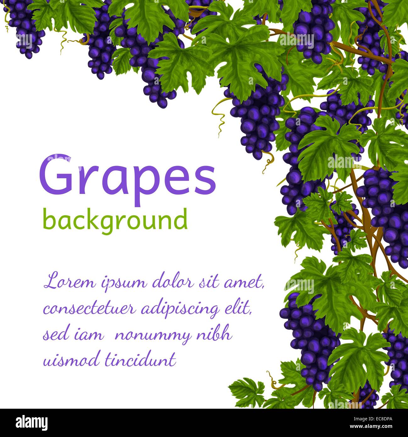 Wine grapes clusters with leaves decoration background wallpaper vector ...