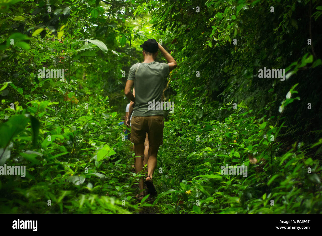 Mombacho hike hi-res stock photography and images - Alamy