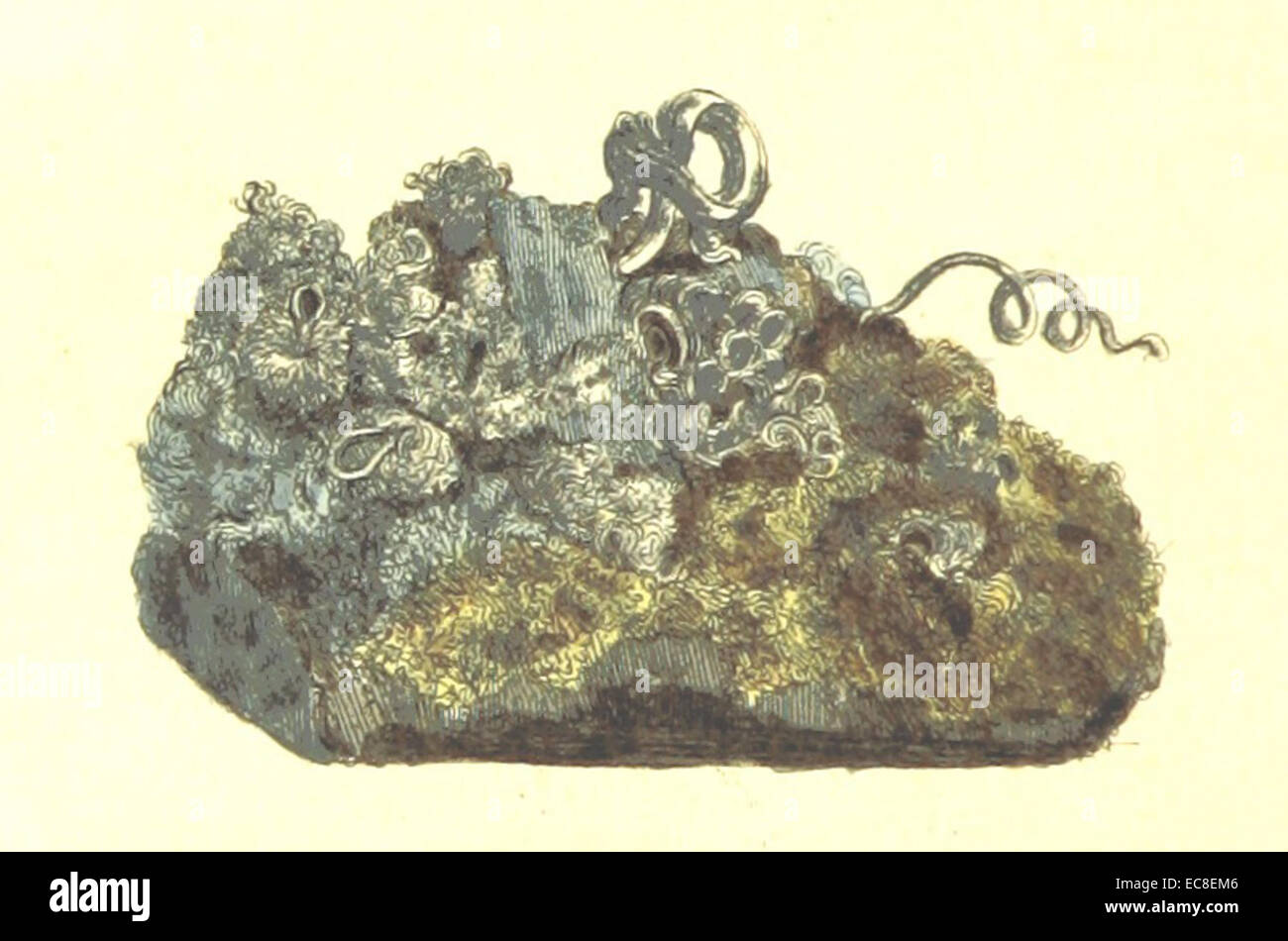 This 1804 illustration from 'British Mineralogy' depicts Argentum ...