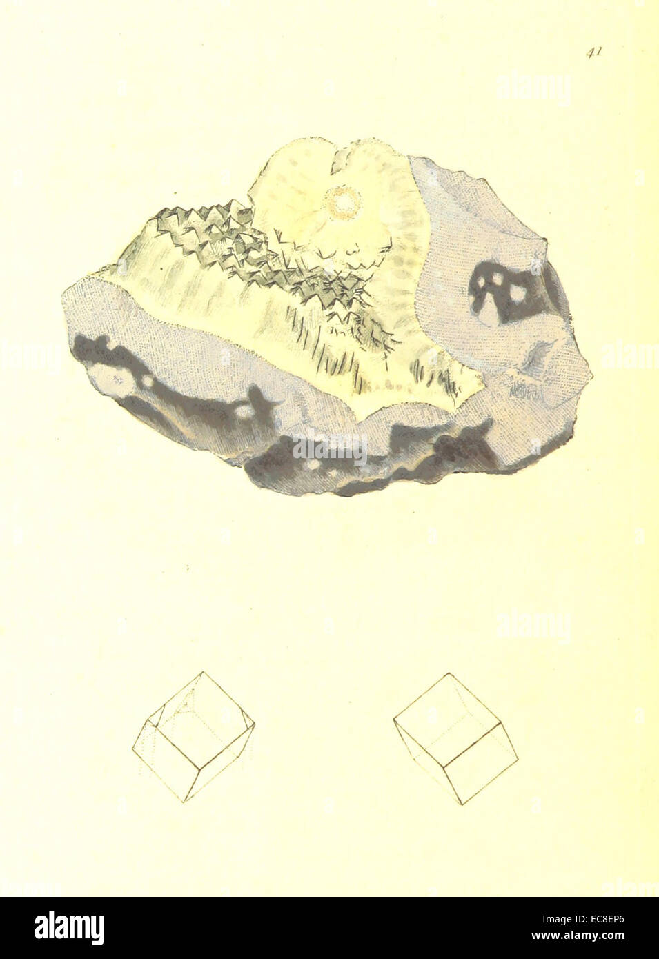British Mineralogy Vol.1 (1804) p186 T41 SILEX quartzum primitivum ...