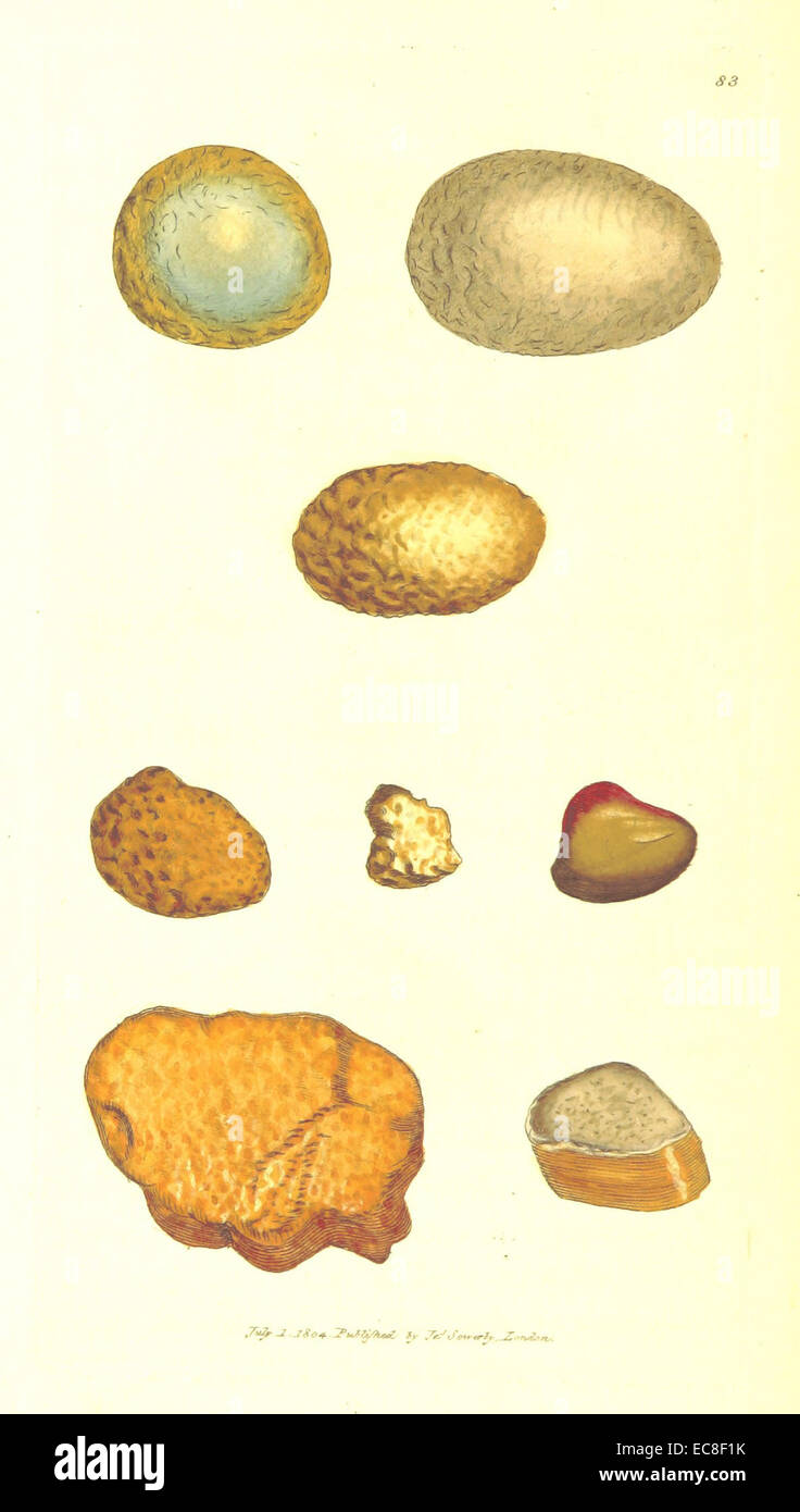 British Mineralogy, Vol. 1 (1804) p354, features T83, a specimen of ...