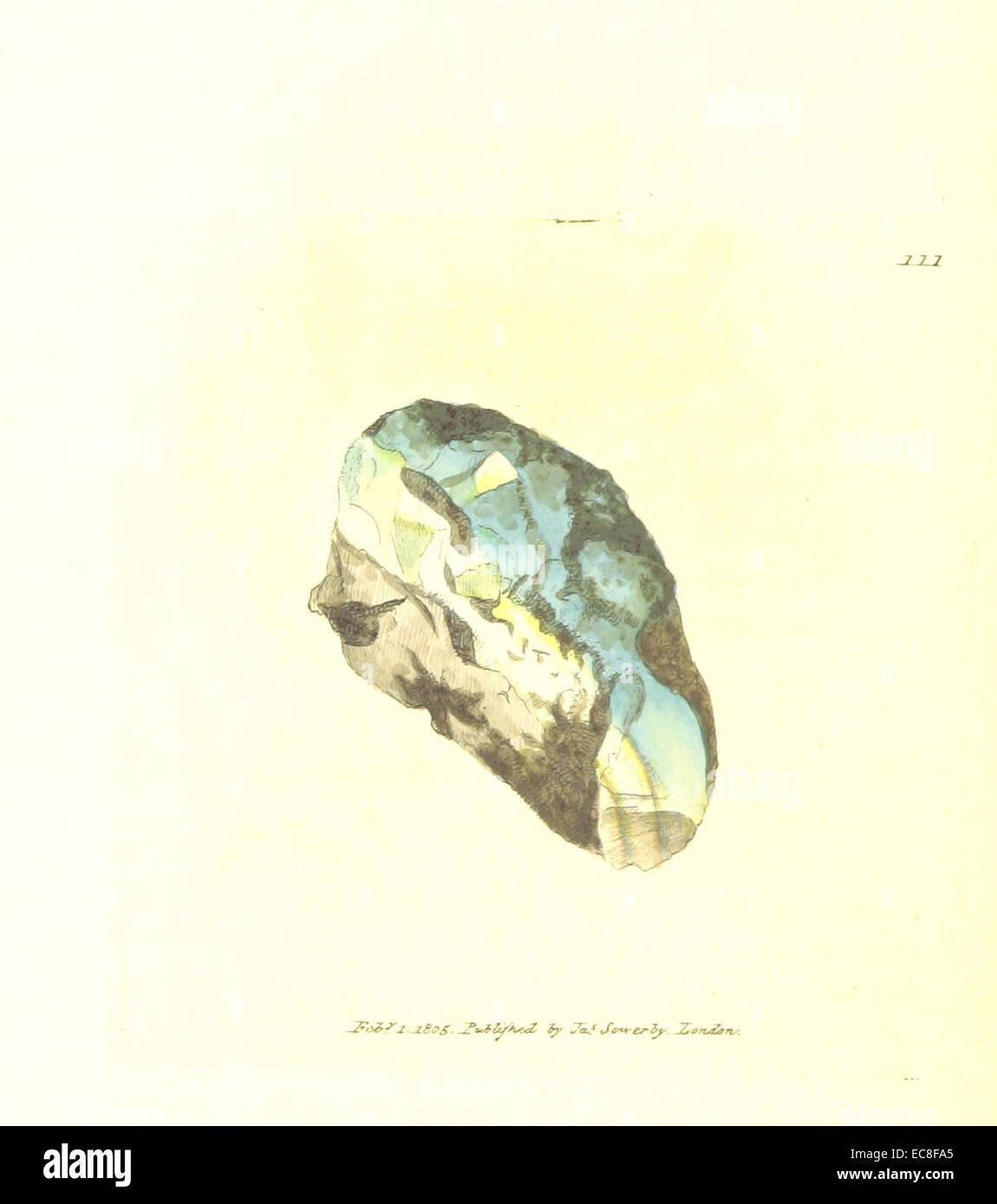 British Mineralogy Vol.2 (1806) p068 T111 SILEX Quartzum. Var.opalinum ...