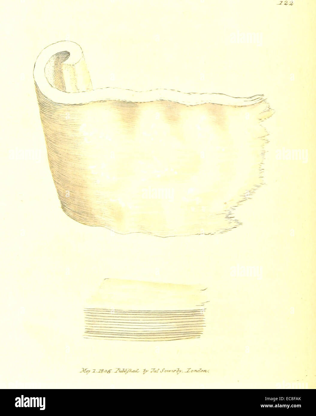 An illustration from *British Mineralogy Vol. 2* (1806) of *Silex ...