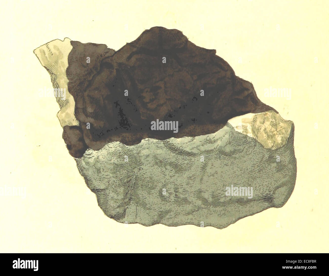 An excerpt from the 1806 British Mineralogy volume, focusing on ...