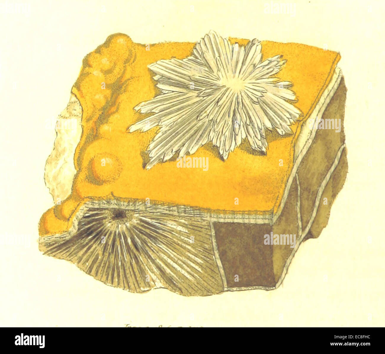 A mineralogical illustration from British Mineralogy (1806) depicting ...