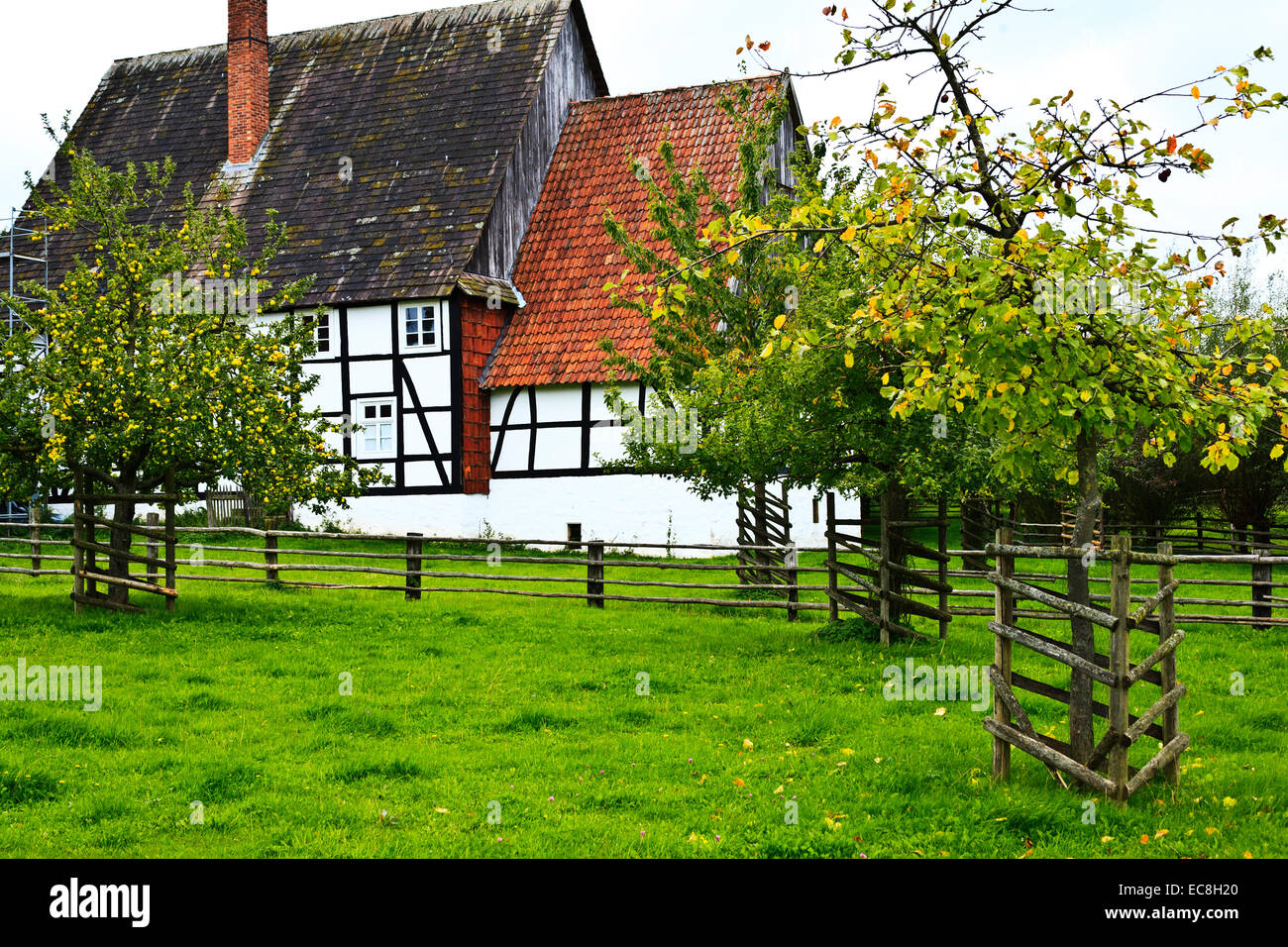 Timber frame architecture hi-res stock photography and images - Alamy