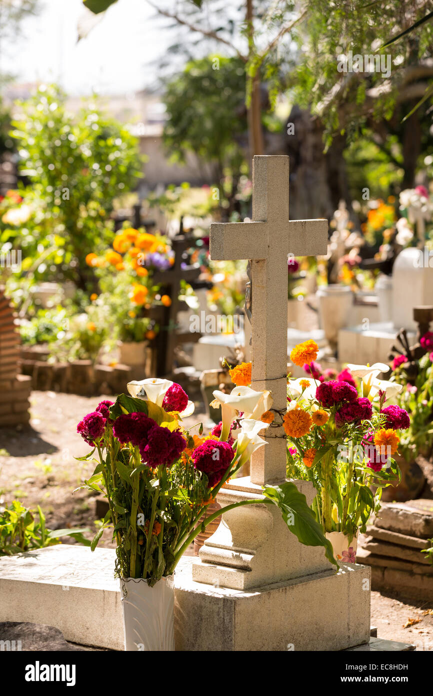 Flowers decorate a Zapotec indigenous cemetery at the start of the Day ...