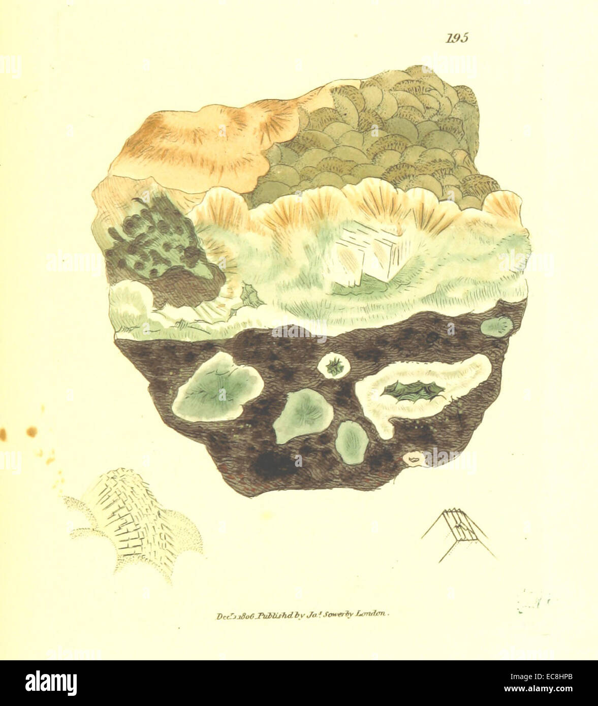 This 1806 illustration from *British Mineralogy Vol.2* features a ...
