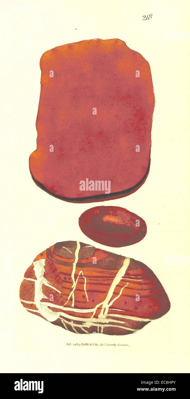 British Mineralogy Vol.3 (1809) p076 T218 SILEX.Quartzum, var. Jaspis ...