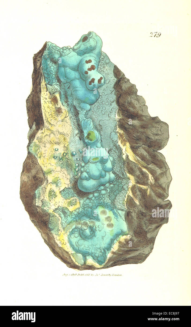 The illustration from 'British Mineralogy Vol. 3 (1809)' on page 322 ...