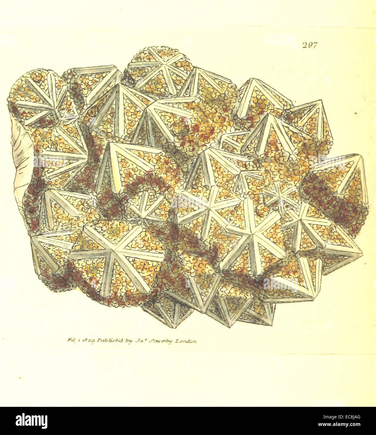 This 1809 entry from British Mineralogy describes Silex Quartz, a ...