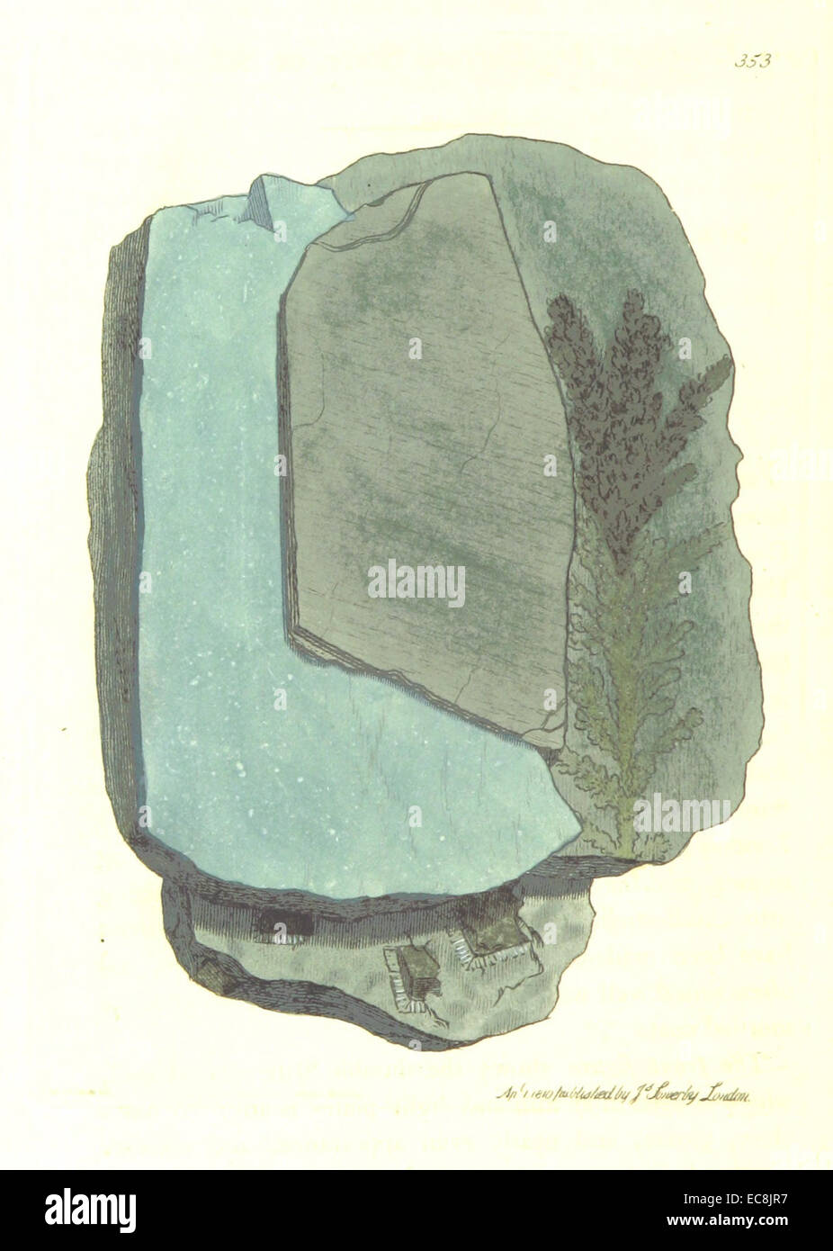 An 1811 entry from British Mineralogy, describing Common Argillaceous ...