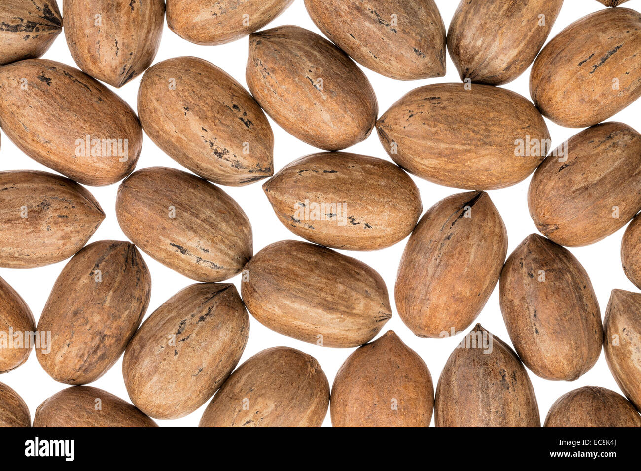 organic pecan nuts in shells against white background Stock Photo - Alamy