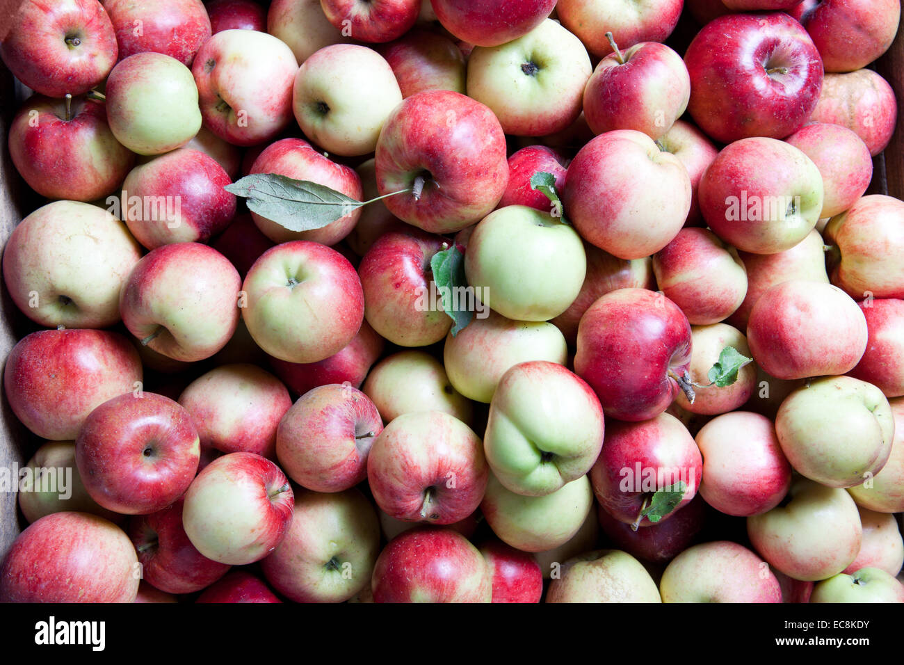 backgound from apples Stock Photo - Alamy