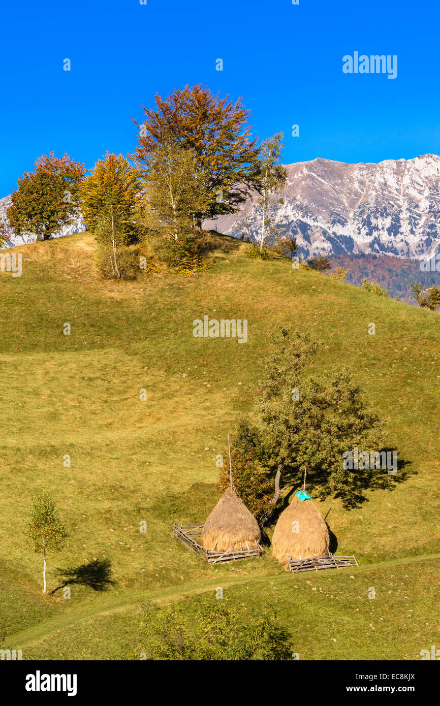 Hay stack in countryside in a romanian villlage at the food of Piatra ...