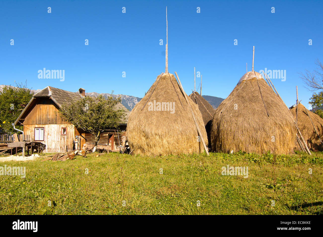 Hay stack in countryside in a romanian villlage at the food of Piatra ...