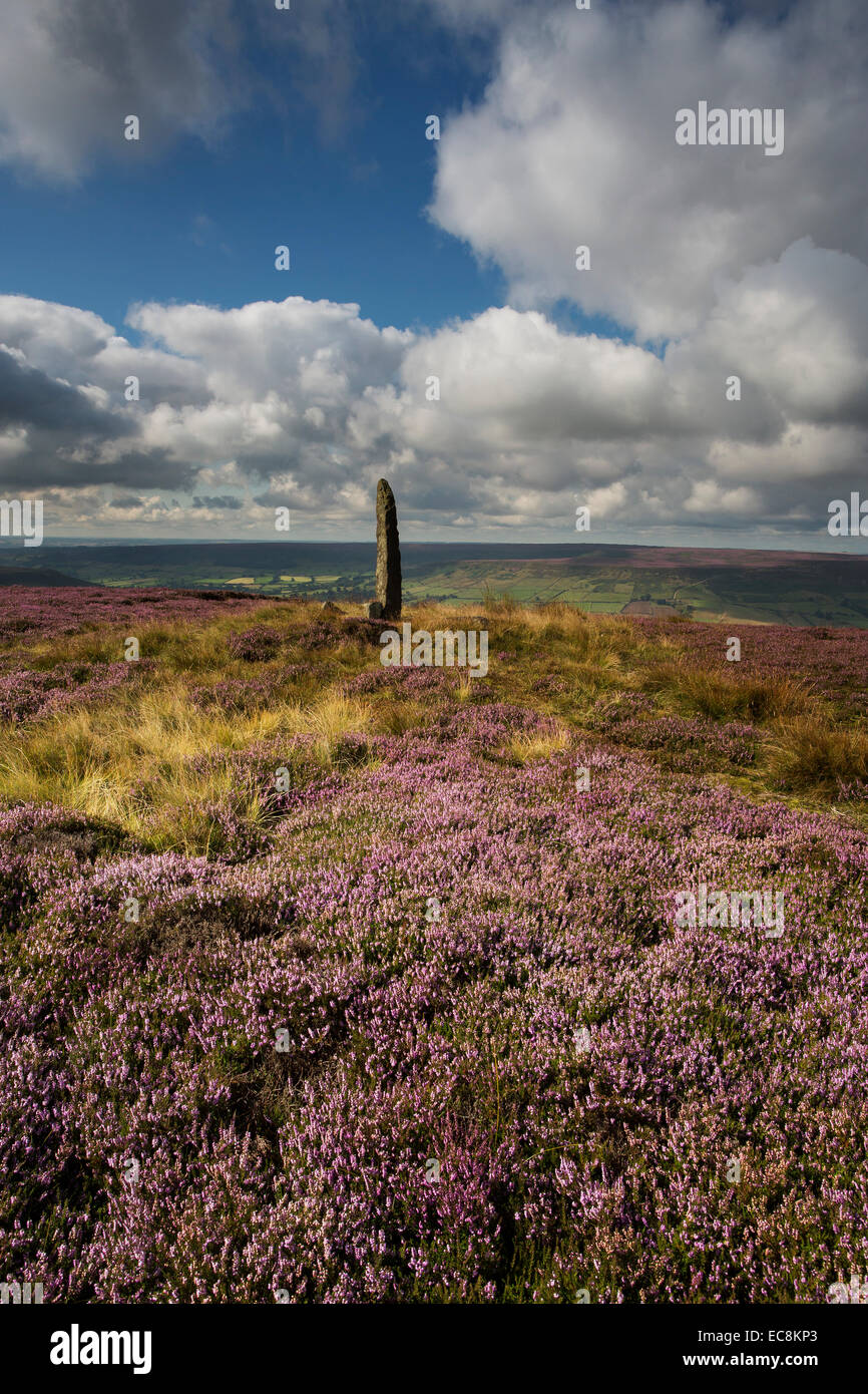 Standing Stone, Blakey Ridge, North York Moors National Park Stock ...
