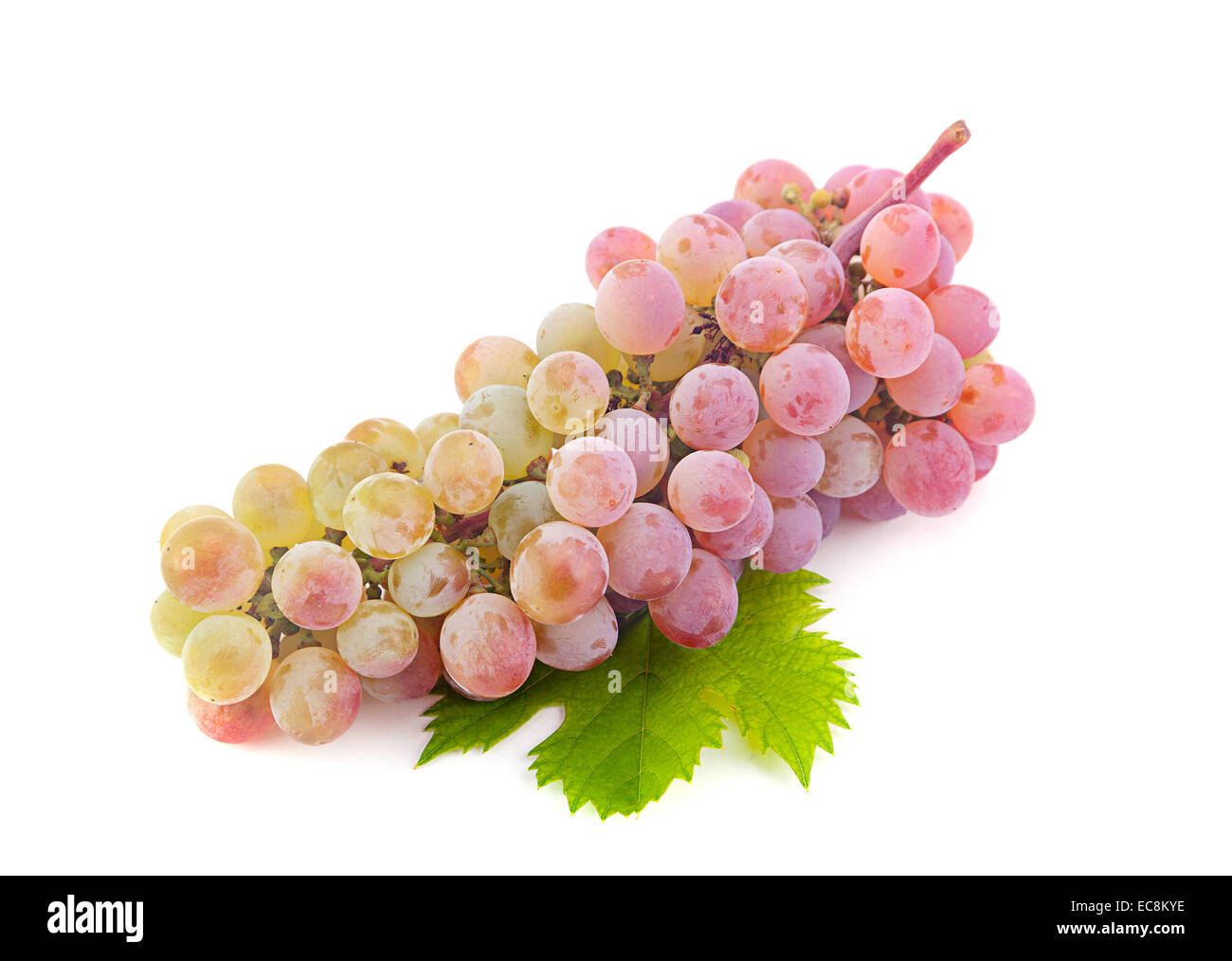 Violet grape fruit isolated on white Stock Photo - Alamy