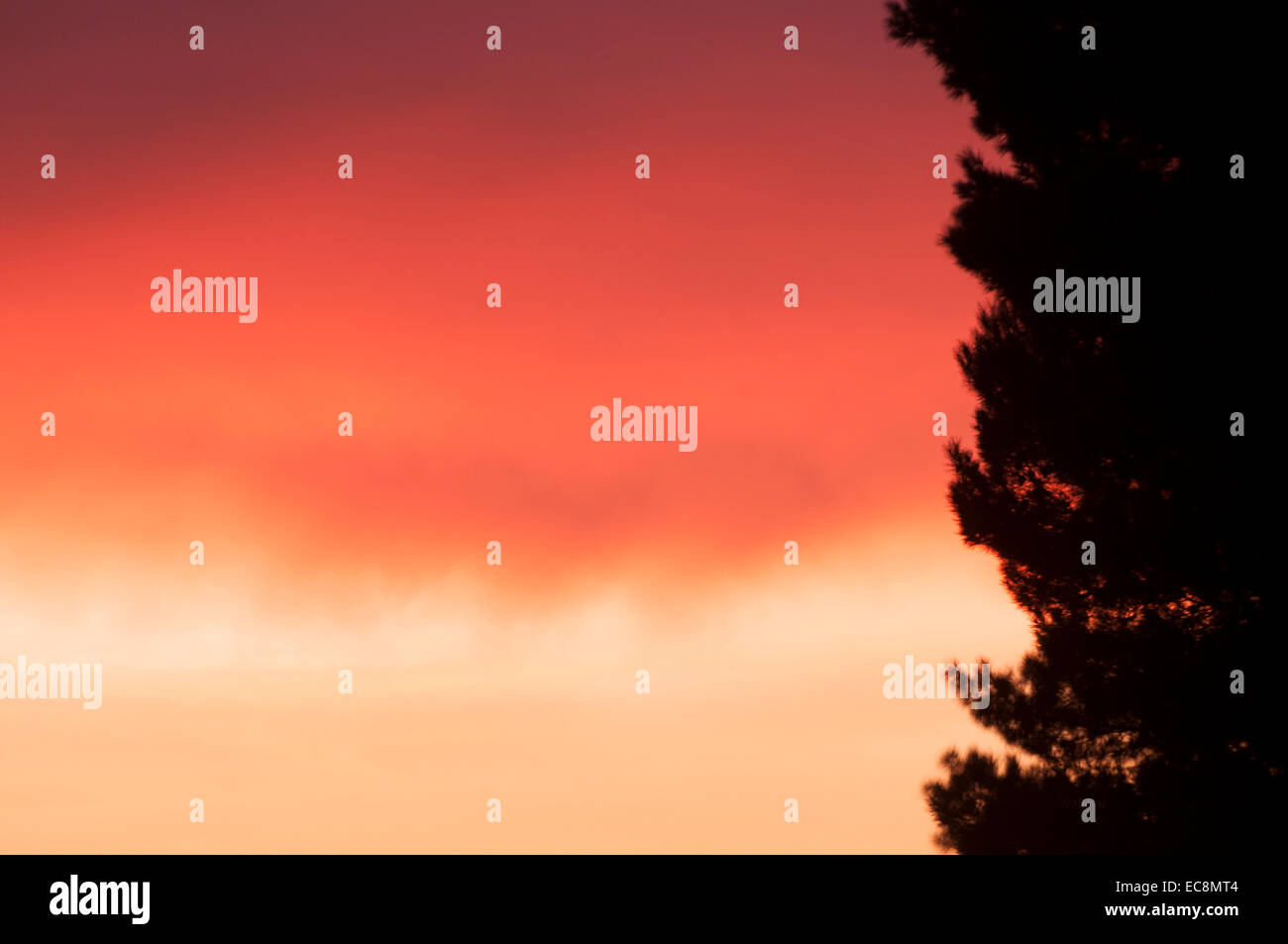 Red sky hi-res stock photography and images - Alamy