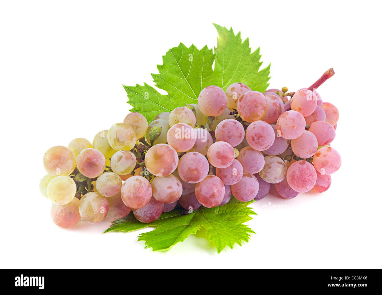 Violet grape fruit isolated on white Stock Photo - Alamy