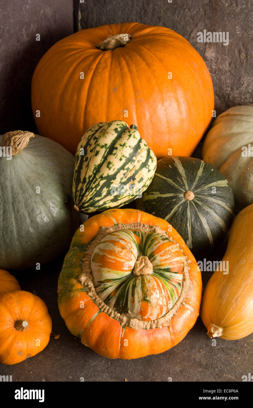 Pumpkins and squashes Stock Photo - Alamy