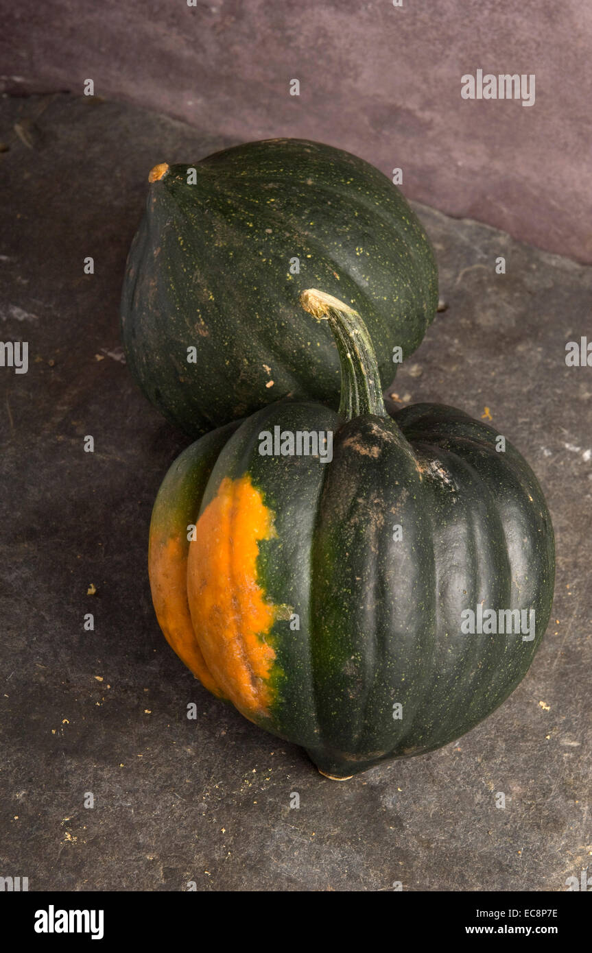 Muscade De Provence Stock Photos & Muscade De Provence Stock Images - Alamy