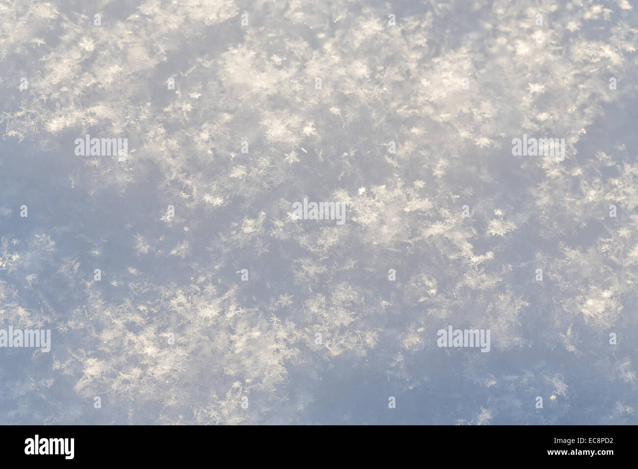 Pure white snow hi-res stock photography and images - Alamy