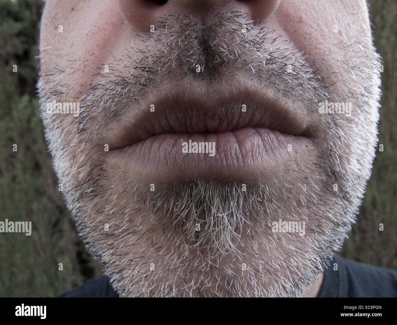 unshaved man's face closeup Stock Photo - Alamy