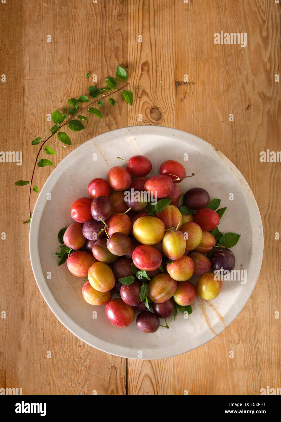 Old english fruits hi-res stock photography and images - Alamy
