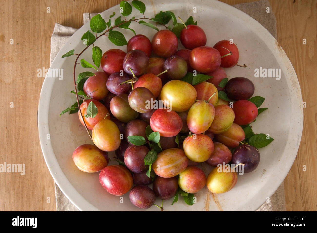 Old english fruits hi-res stock photography and images - Alamy