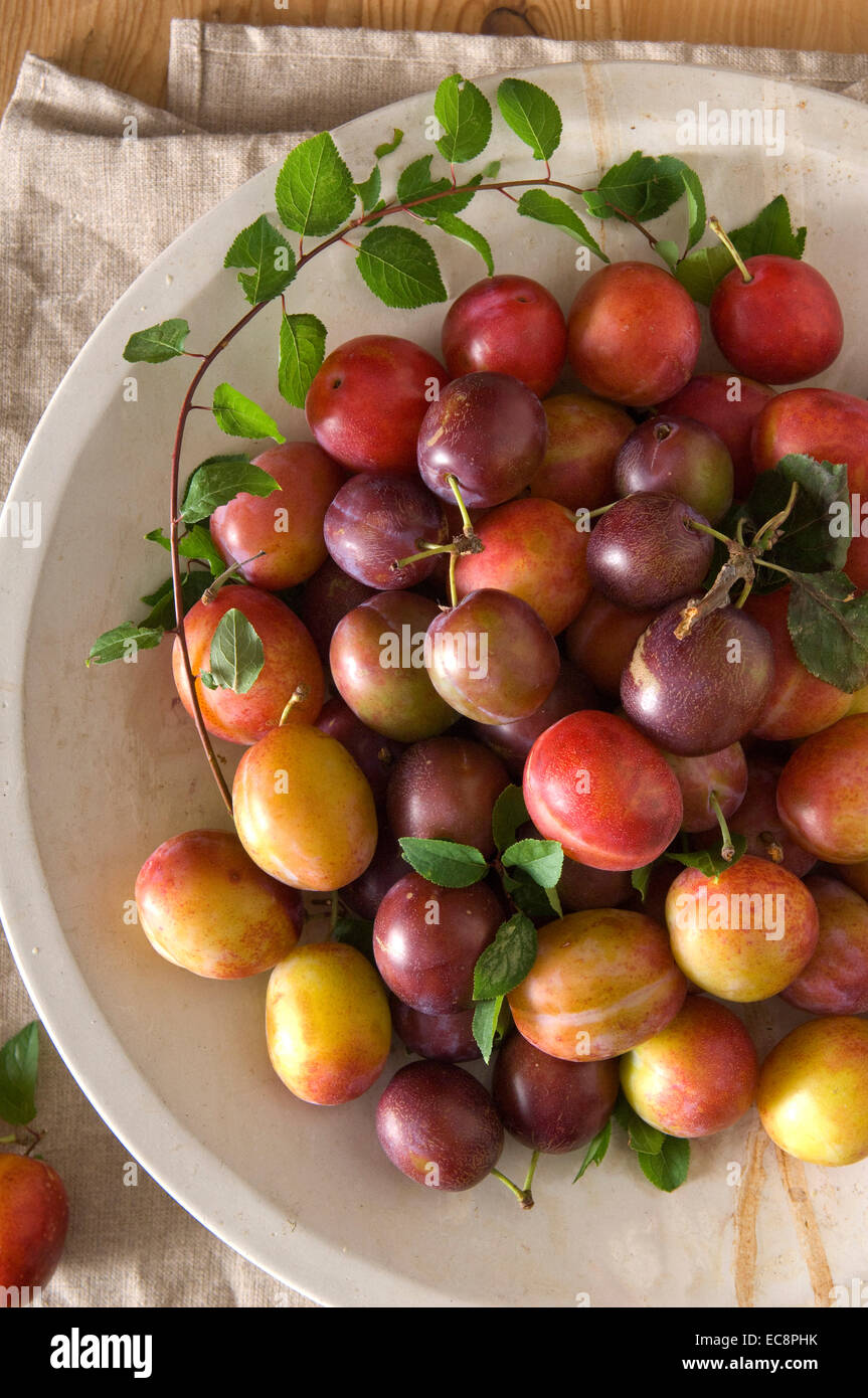 Selection of plums on traditional old kitchen scales hi-res stock ...