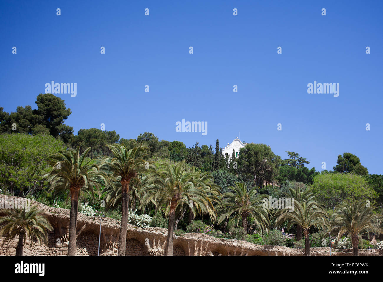Green trees of Park Guell in Barcelona, Spain Stock Photo - Alamy
