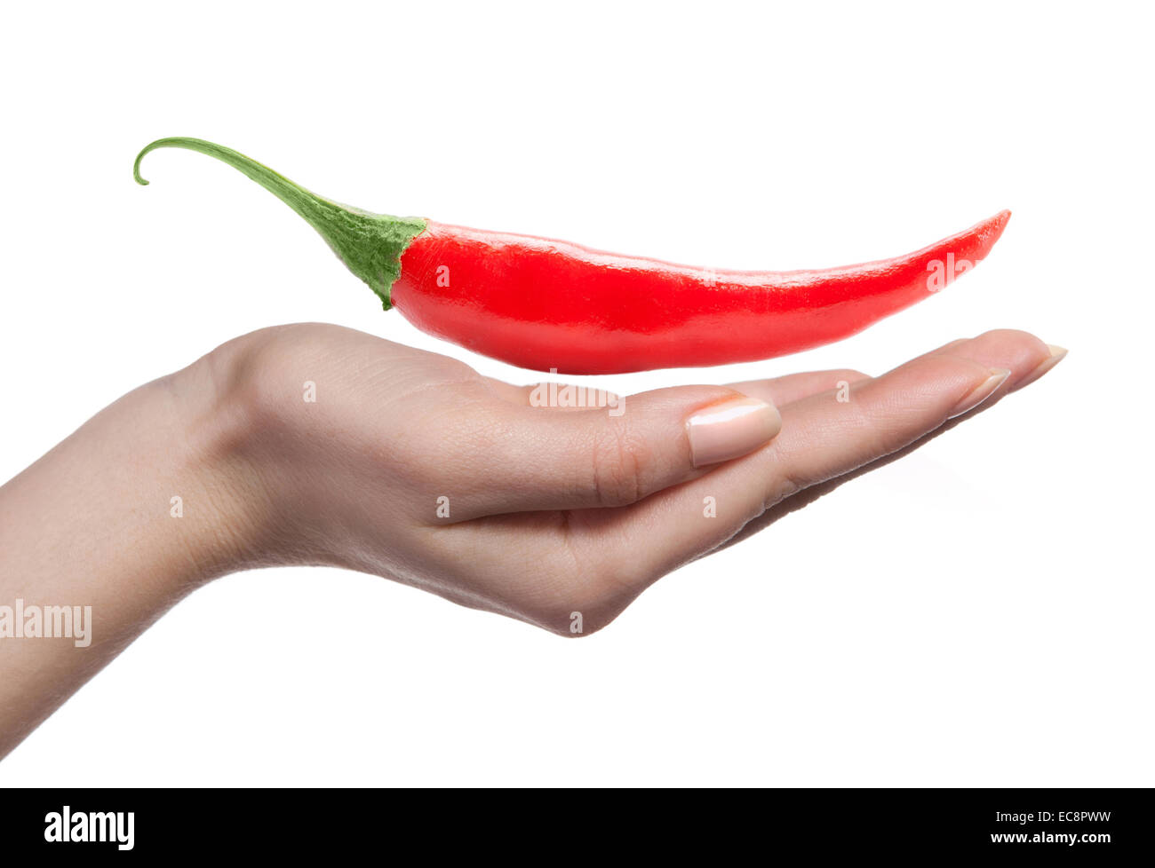 chili pepper and human hand isolated on white Stock Photo - Alamy