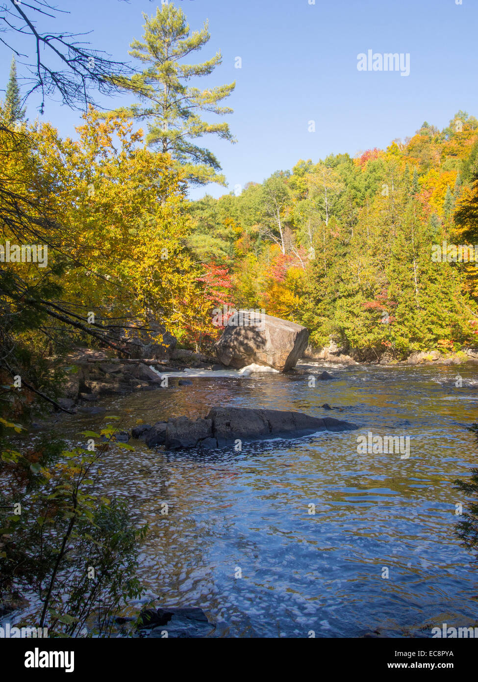 Woods, river, trees in Fall Stock Photo - Alamy
