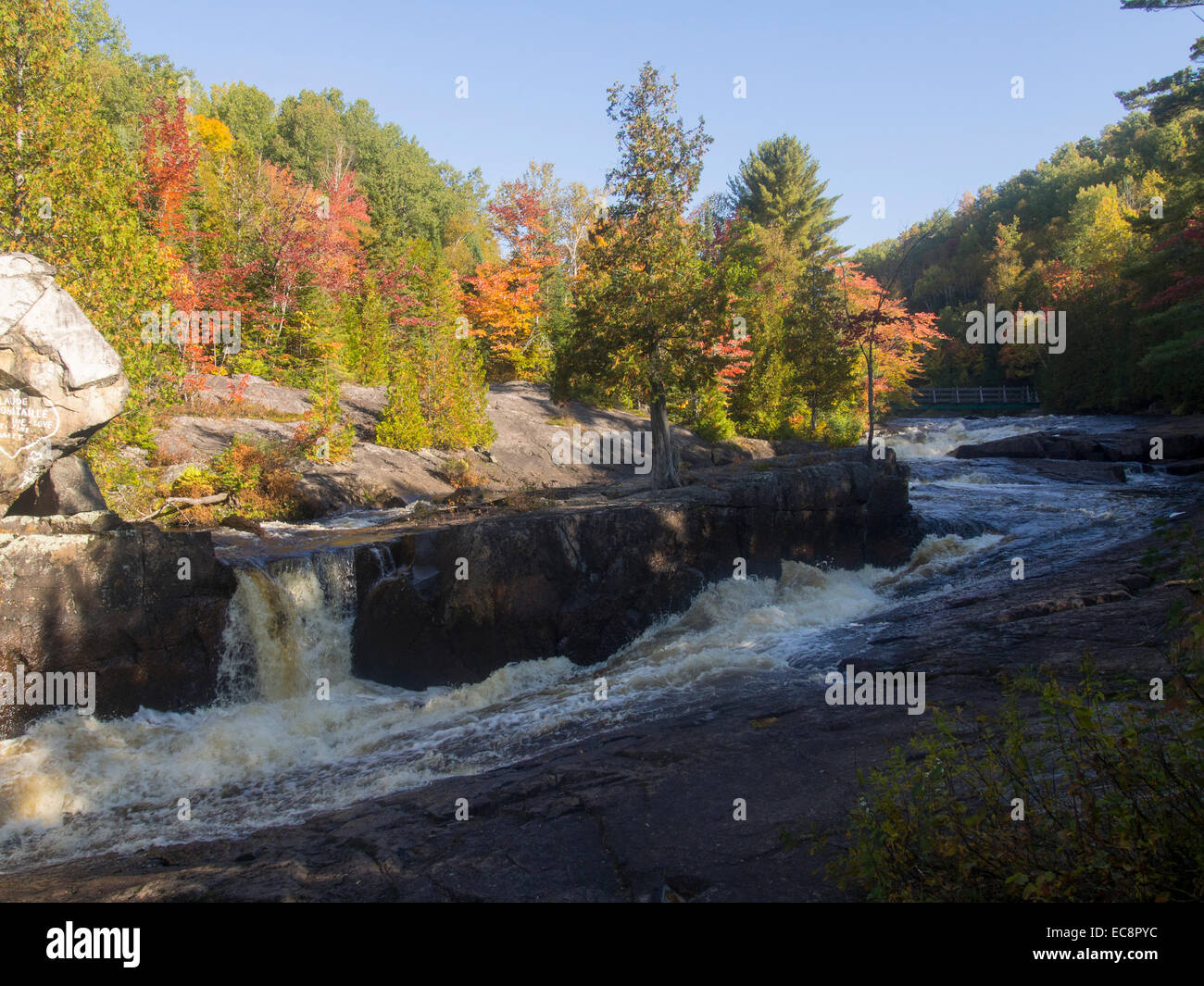 Woods, river, trees in Fall Stock Photo - Alamy