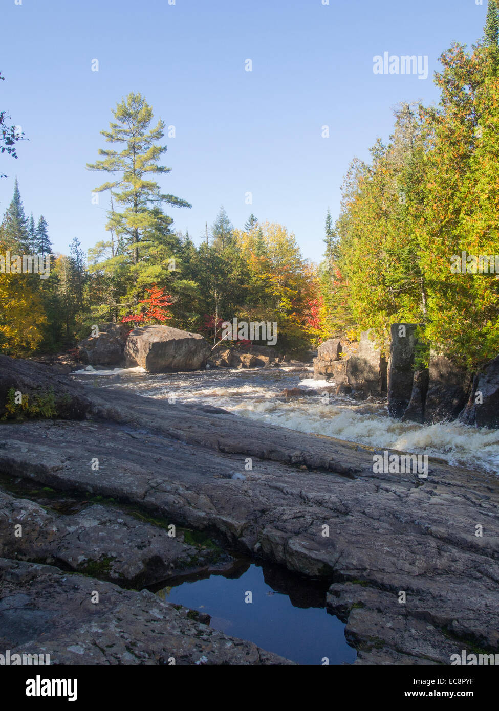 Woods, river, trees in Fall Stock Photo - Alamy