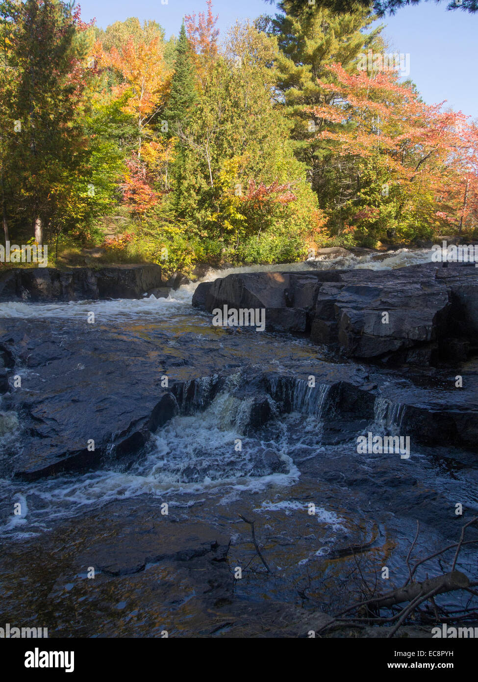 Woods, river, trees in Fall Stock Photo - Alamy