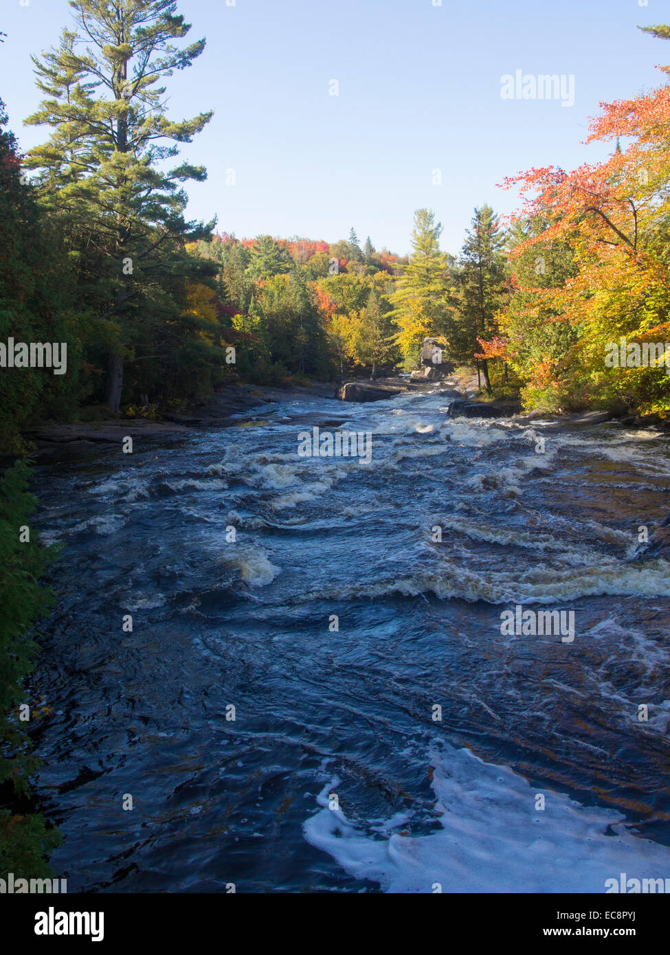 Woods, river, trees in Fall Stock Photo - Alamy