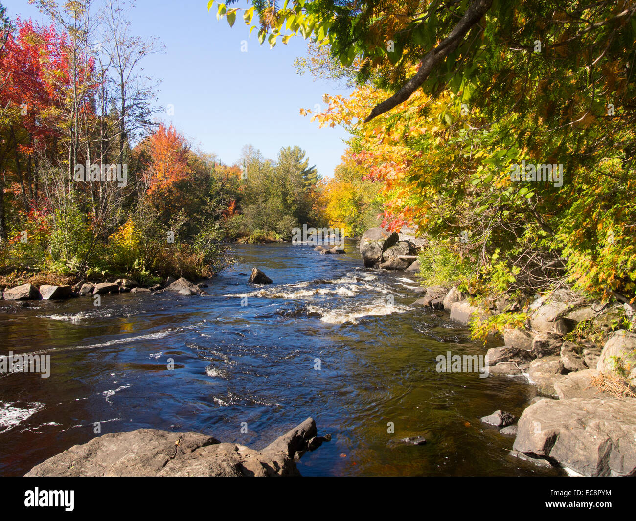 woods, river, park, autumn, fall, colors Stock Photo - Alamy